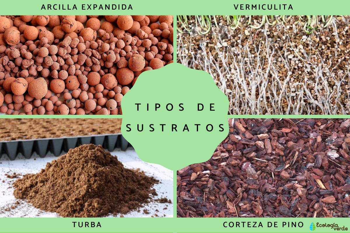 Los diferentes tipos de sustratos ideales para el crecimiento de ...